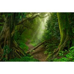 papermoon Fototapete &raquo;TROPISCHER WALD-BAUM DSCHUNGEL SONNE WEG PALMEN BACH&laquo; bunt Vlies