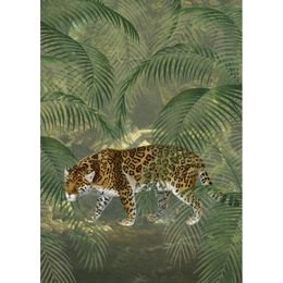 Art for the home Fototapete &raquo;Leopard&laquo; botanisch 280x200cm bunt Vlies