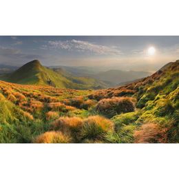 papermoon Fototapete &raquo;Fluss im Wald&laquo; bunt Vlies