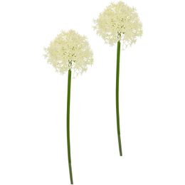 I.GE.A. Kunstblume &raquo;Allium Zierlauch&laquo; Stielblume k&uuml;nstliche Blumen, 2er Set beige Kunststoff
