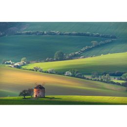 papermoon Fototapete &raquo;Felder mit Windm&uuml;hle&laquo; bunt Vlies