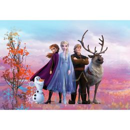 Komar Fototapete &raquo;Frozen Iconic - Gr&ouml;&szlig;e 368 x 254 cm&laquo; bedruckt glatt Kinderzimmer bunt Papier