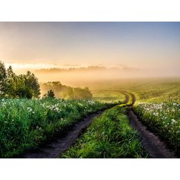 papermoon Fototapete &raquo;Foggy Forest Path&laquo; glatt bunt Vlies