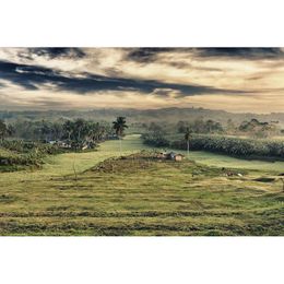 papermoon Fototapete &raquo;LANDSCHAFT-NATUR WALD PALMEN B&Auml;UME DSCHUNGEL PFLANZEN&laquo; bunt Vlies