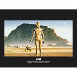 Komar Bild &raquo;Star Wars Classic RMQ Droids&laquo; Star Wars 1 Stk. tlg. Wandbild zur Dekoration im Kinderzimmer - ohne Rahmen bunt Holz, Papier
