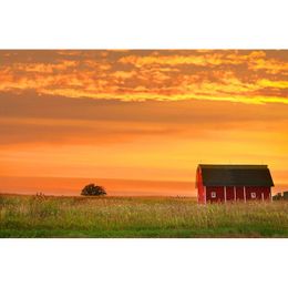 papermoon Fototapete &raquo;Bauernhof Landschaft&laquo; bunt Vlies