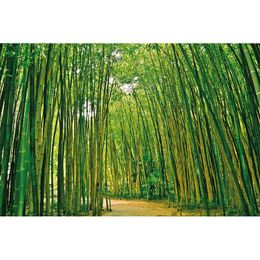 papermoon Fototapete &raquo;Bamboo Forest&laquo; glatt bunt Vlies