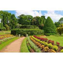 papermoon Fototapete &raquo;GARTEN-BLUMEN B&Auml;UME PFLANZEN PARK STEINE WALD BL&Uuml;TEN&laquo; bunt Vlies
