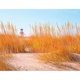 Livingwalls living walls Fototapete &raquo;Strand D&uuml;nen&laquo; Motiv abstrakt naturalistisch glatt D&uuml;nen Tapete Strand Fototapete Wohnzimmer Tapeten Design Kinderzimmer bunt 