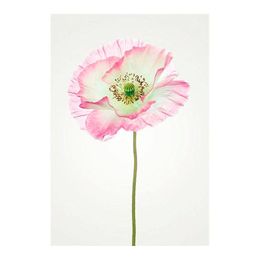 Komar Bild &raquo;Poppy&laquo; Blumen 1 Stk. tlg. Wandbild zur Dekoration - ohne Rahmen bunt Holz, Papier