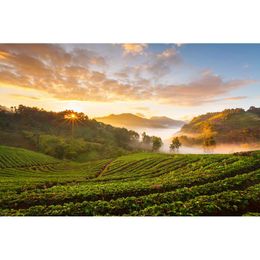papermoon Fototapete &raquo;ERDBEER-GARTEN-NEBEL FLUSS GEBIRGE WALD HIMMEL SONNE&laquo; bunt Vlies
