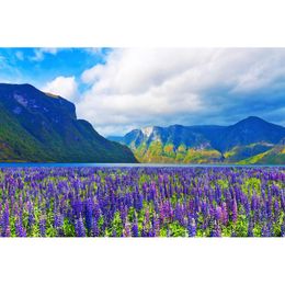 papermoon Fototapete &raquo;FJORD-NORWEGEN GEBIRGE BLUMEN SONNE WALD FLUSS B&Auml;UME&laquo; bunt Vlies