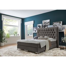 ATLANTIC HOME COLLECTION Boxspringbett &raquo;Ronja&laquo; mit Topper und extra hohem Kopfteil grau Bezug Bett: Samtvelours (100% Polyester);Bonnell-