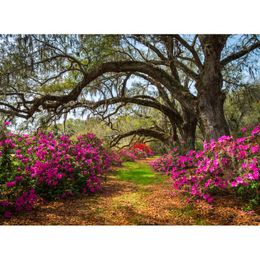 papermoon Fototapete &raquo;Spring Flowers and Oaktrees&laquo; glatt bunt Vlies
