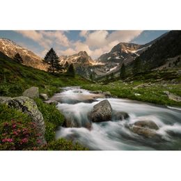 papermoon Fototapete &raquo;Photo-Art PAOLO BOLLA, MARITIME ALPEN PARK&laquo; bunt Vlies
