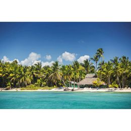 papermoon Fototapete &raquo;PALMEN-STRAND-BEACH DSCHUNGEL KARIBIK S&Uuml;DSEE D&Uuml;NEN XXL&laquo; bunt Vlies