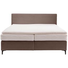 Alina Boxspringbett &raquo;Pico&laquo; inkl. Matratzen und Topper braun Cord GCT (92% Polyeste, 8% Nylon)