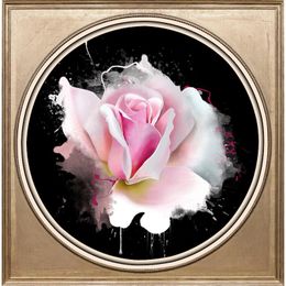 queence Acrylglasbild &raquo;Rosa Rose&laquo; Blumen Blumenbilder Gem&auml;lde Kunst Pflanzen Pflanzenbilder Fine Art-Print in Galeriequalit&auml;t bunt Acrylglas