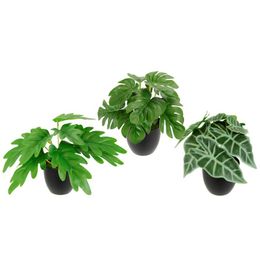 I.GE.A. Kunstpflanze &raquo;K&uuml;nstliches Zimmerpflanzen-Set&laquo; Im Topf 3er Set Gr&uuml;npflanzen Zimmerpflanze Monstera Philo Calathea gr&uuml;n Polyester