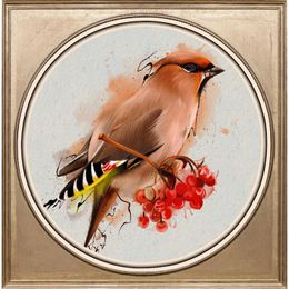 queence Acrylglasbild &raquo;Bunter Vogel I&laquo; Gem&auml;lde Kunst Obst Vogelbilder V&ouml;gel Fine Art-Print in Galeriequalit&auml;t bunt Acrylglas