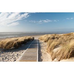 papermoon Fototapete &raquo;Dunes in Langeoog&laquo; glatt bunt Vlies