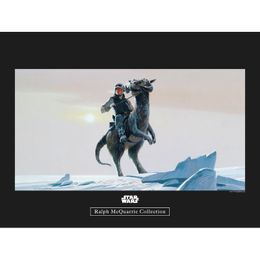 Komar Bild &raquo;Star Wars Classic RMQ Hoth Tauntaun&laquo; Star Wars 1 Stk. tlg. Wandbild zur Dekoration im Kinderzimmer - ohne Rahmen bunt Holz, Papier