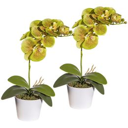 Creativ green Kunstpflanze &raquo;Orchidee Phalaenopsis&laquo; im Keramiktopf gr&uuml;n Kunststoff, Polyester