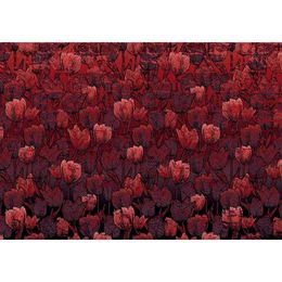Komar Vliestapete &raquo;Digitaldruck Vlies - Tulipe - Gr&ouml;&szlig;e 400 x 280 cm&laquo; bedruckt glatt Wohnzimmer, Schlafzimmer rot Vlies