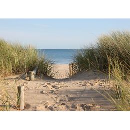 papermoon Fototapete &raquo;Dunes in Dorset&laquo; glatt bunt Vlies