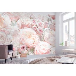 Komar Fototapete &raquo;Spring Roses - Gr&ouml;&szlig;e 368 x 254 cm&laquo; bedruckt glatt Wohnzimmer, Schlafzimmer rosa Papier