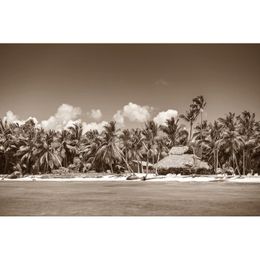 papermoon Fototapete &raquo;PALMEN-SCHWARZ WEI&szlig;WANDBILD PALME NATUR B&Auml;UME MEER SEE&laquo; bunt Vlies