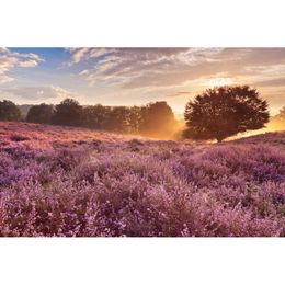 papermoon Fototapete &raquo;Blumenwiese mit Baum&laquo; bunt Vlies