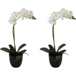 Creativ green Kunstorchidee &raquo;Orchidee Phalaenopsis&laquo; mit t&auml;uschend echten Bl&uuml;ten wei&szlig; Kunststoff