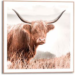 Reinders Poster &raquo;Highlander&laquo; braun MDF