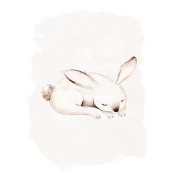 Komar Bild &raquo;Sleepy Bunny&laquo; Natur 1 Stk. tlg. Wandbild zur Dekoration - ohne Rahmen schwarz Holz, Papier