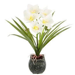 my home Kunstblume &raquo;Orchidee&laquo; Mit Bl&auml;tter im Topf aus Zement K&uuml;nstliche Blume Cymbidium-Orchidee beige Polyester