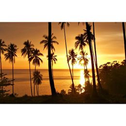 papermoon Fototapete &raquo;PALMEN-STRAND-SONNENUNTERGANG KARIBIK S&Uuml;DSEE MEER SONNE&laquo; bunt Vlies