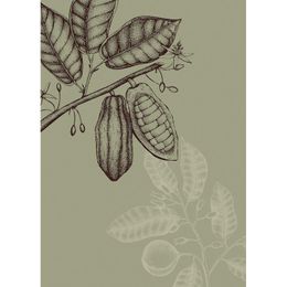 Komar Bild &raquo;Wild Cocoa&laquo; Natur 1 Stk. tlg. Wandbild zur Dekoration - ohne Rahmen gr&uuml;n Holz, Papier
