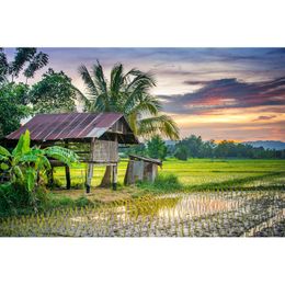 papermoon Fototapete &raquo;REIS-BAUERNHOF-THAILAND H&Uuml;TTE GEBIRGE FELD GEBIRGE PALM&laquo; bunt Vlies