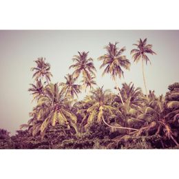 papermoon Fototapete &raquo;PALMEN-NATUR LANDSCHAFT KARIBIK DSCHUNGEL STRAND B&Auml;UME&laquo; bunt Vlies