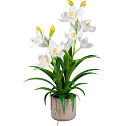 Creativ green Kunstorchidee &raquo;Orchidee Cymbidie&laquo; mit traumhaft sch&ouml;nen Bl&uuml;ten wei&szlig;