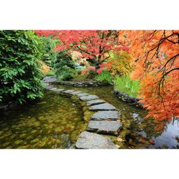 papermoon Fototapete &raquo;GARTEN-B&Auml;UME BLUMEN PFLANZEN PARK STEINE WALD BL&Uuml;TEN&laquo; bunt Vlies