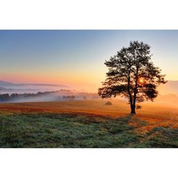 papermoon Fototapete &raquo;baum in landschaft&laquo; bunt Vlies