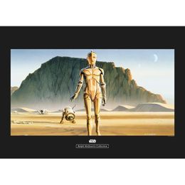 Komar Bild &raquo;Star Wars Classic RMQ Droids&laquo; Star Wars 1 Stk. tlg. Wandbild zur Dekoration im Kinderzimmer - ohne Rahmen bunt Holz, Papier
