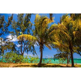 papermoon Fototapete &raquo;PALMEN-STRAND-KARIBIK S&Uuml;DSEE MEER D&Uuml;NEN SONNE OZEAN XXL&laquo; bunt Vlies