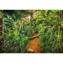 Komar Fototapete &raquo;Jungle Trail - Gr&ouml;&szlig;e 368 x 254 cm&laquo; bedruckt glatt Wohnzimmer, Schlafzimmer gr&uuml;n Papier