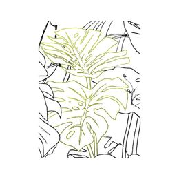 Komar Bild &raquo;Monstera Borsigiana&laquo; Natur 1 Stk. tlg. Wandbild zur Dekoration - ohne Rahmen gr&uuml;n Holz, Papier
