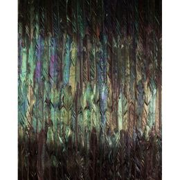 Komar Vliestapete &raquo;Digitaldruck Vlies - Dark Wings - Gr&ouml;&szlig;e 200 x 250 cm&laquo; bedruckt glatt Wohnzimmer, Schlafzimmer bunt Vlies