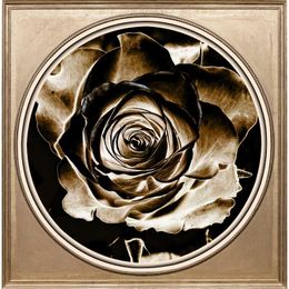 queence Acrylglasbild &raquo;Rose&laquo; Blumen Blumenbilder Gem&auml;lde Kunst Pflanzen Pflanzenbilder Fine Art-Print in Galeriequalit&auml;t gr&uuml;n Acrylglas