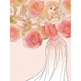 Komar Bild &raquo;Sleeping Beauty Roses&laquo; Disney 1 Stk. tlg. Wandbild zur Dekoration im Kinderzimmer - ohne Rahmen bunt Holz, Papier